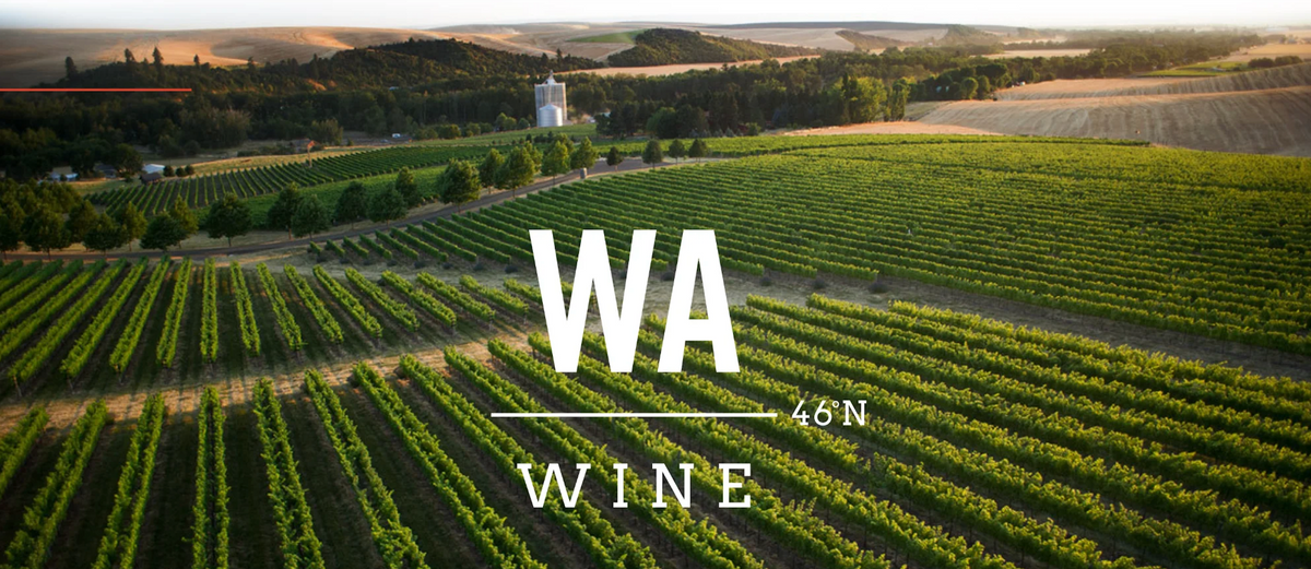 Discovering Washington State Wines: A Spotlight on Hedges Family Estat ...