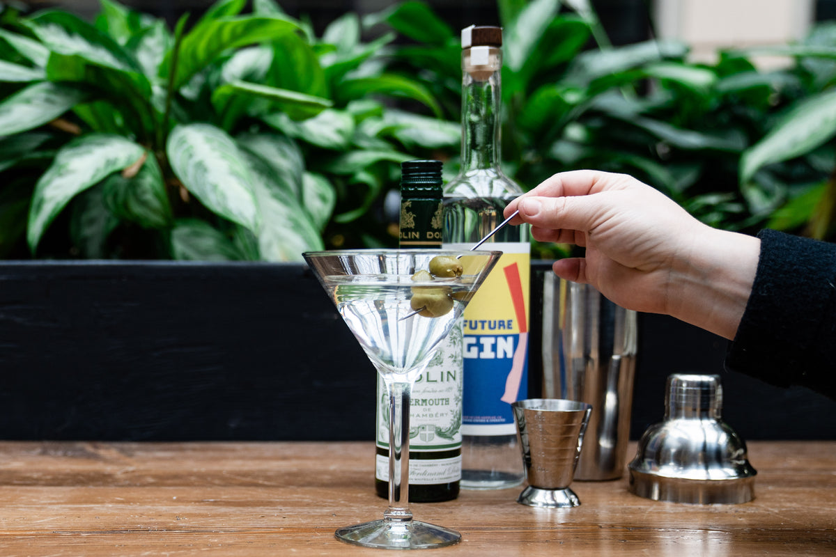 Classic Martini Cocktail Kit – winklerandsamuels
